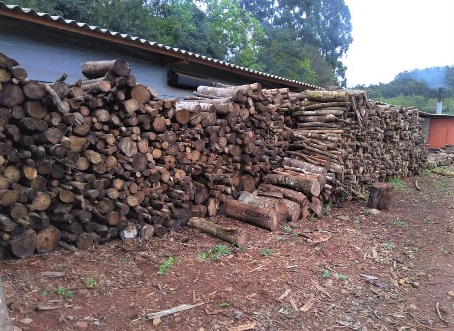 Operação Integração apreende 180 metros de lenha nativa