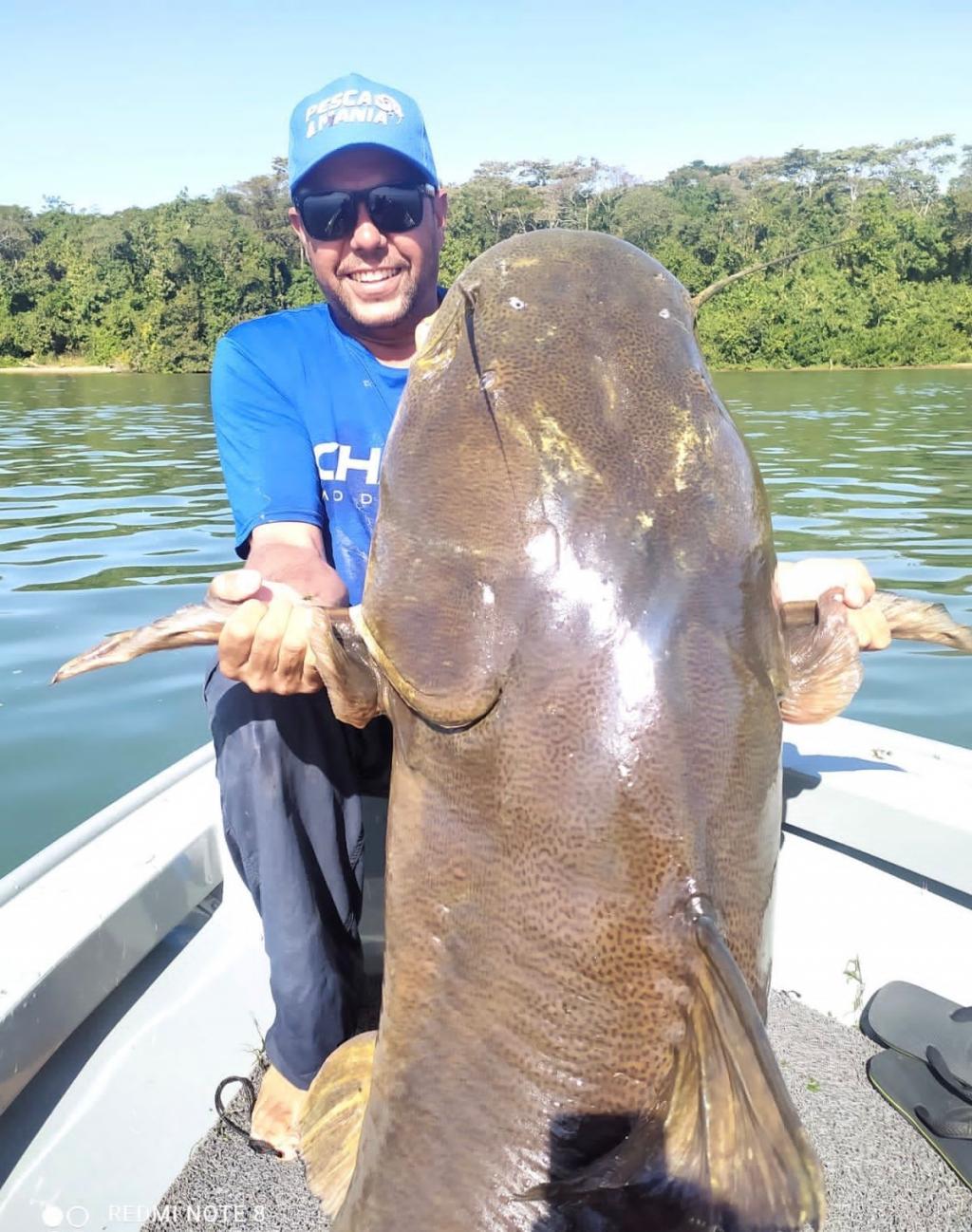 Vídeo mostra pescadores com Jaú de 80 Kg no Rio Paraná